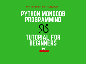Python Guide to Connect with MongoDB - TechBeamers