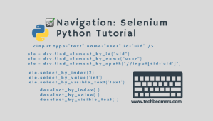Python Selenium Web Page Navigation - TechBeamers